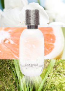 Parfum sur mesure avec la collection Candora Paris